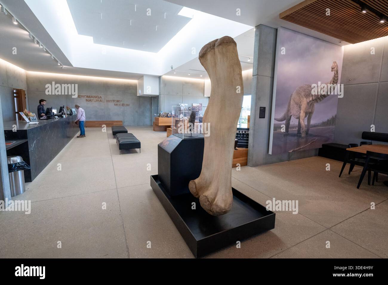 Innenraum des Eromanga Natural History Museum, Eromnaga, Queensland ...