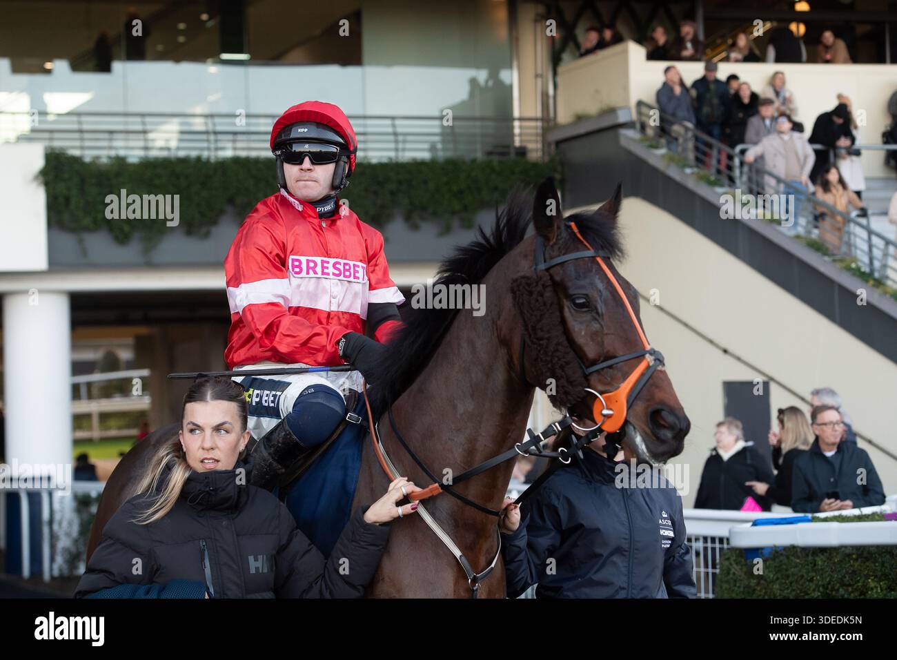 Crambo ruhestand -Fotos und -Bildmaterial in hoher Auflösung – Alamy