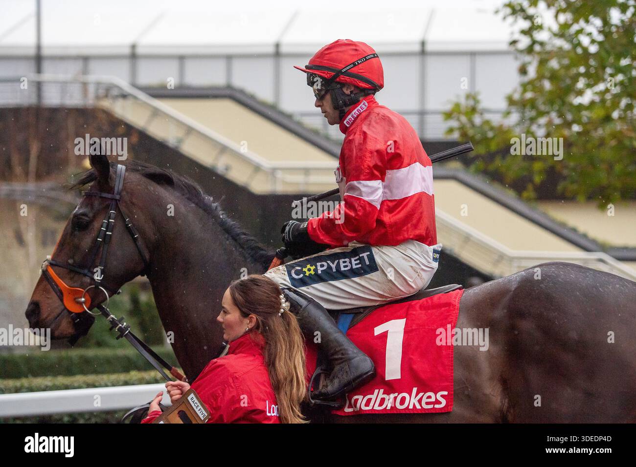 Crambo ruhestand -Fotos und -Bildmaterial in hoher Auflösung – Alamy