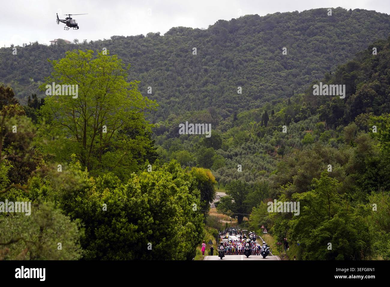 Goro ditalia 2026 -Fotos und -Bildmaterial in hoher Auflösung – Alamy