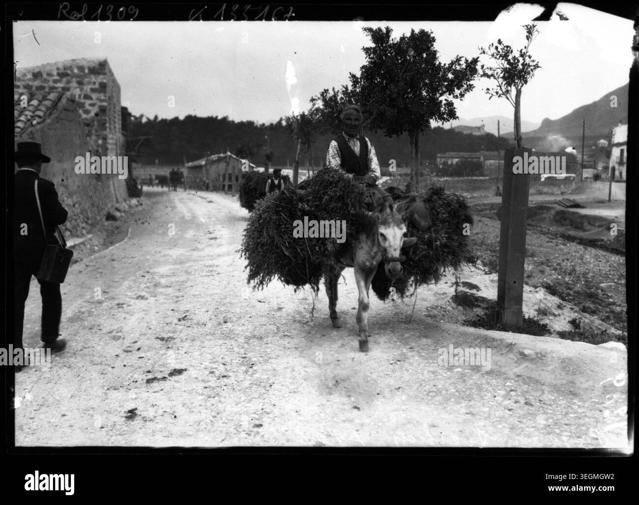 Sizilien, traditionelle arbeit, 1908 -Fotos und -Bildmaterial in hoher ...