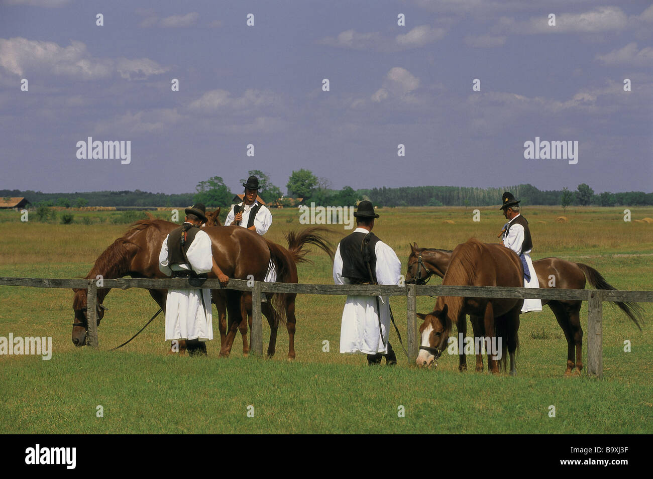 Bugac Puszta Stockfotos und -bilder Kaufen - Alamy