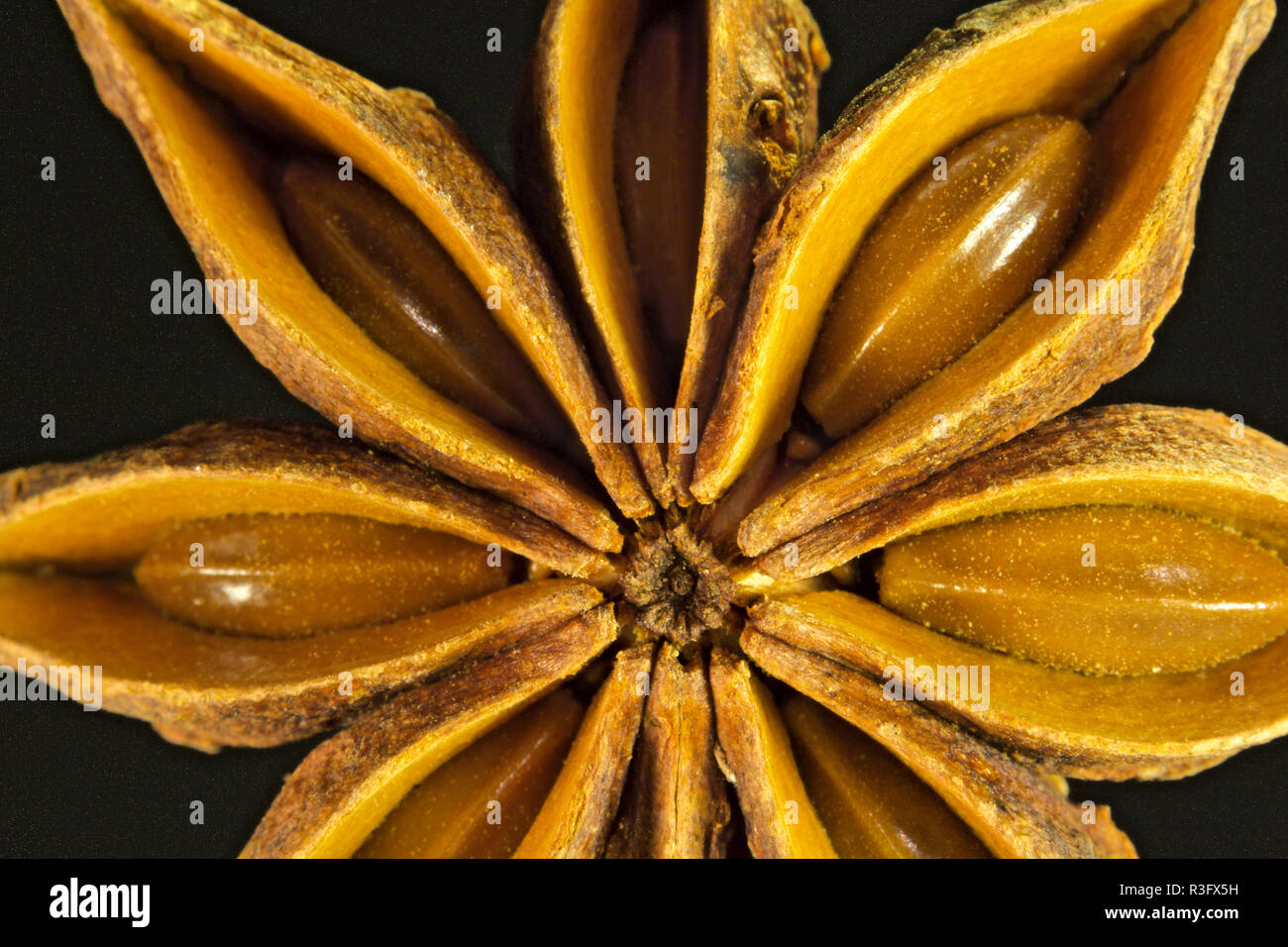 Anisi Stellati Fructus Stockfotos und -bilder Kaufen - Alamy