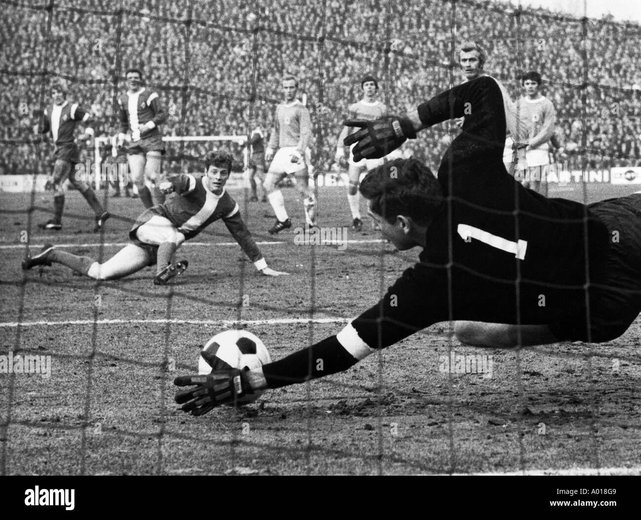 Torhüter petar radenkovic -Fotos und -Bildmaterial in hoher Auflösung ...