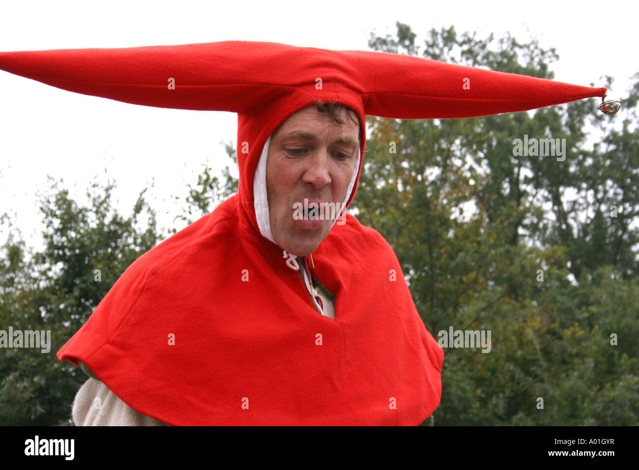 Der hofnarr -Fotos und -Bildmaterial in hoher Auflösung – Alamy