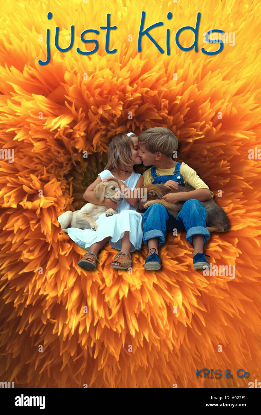 Kris kuss -Fotos und -Bildmaterial in hoher Auflösung – Alamy