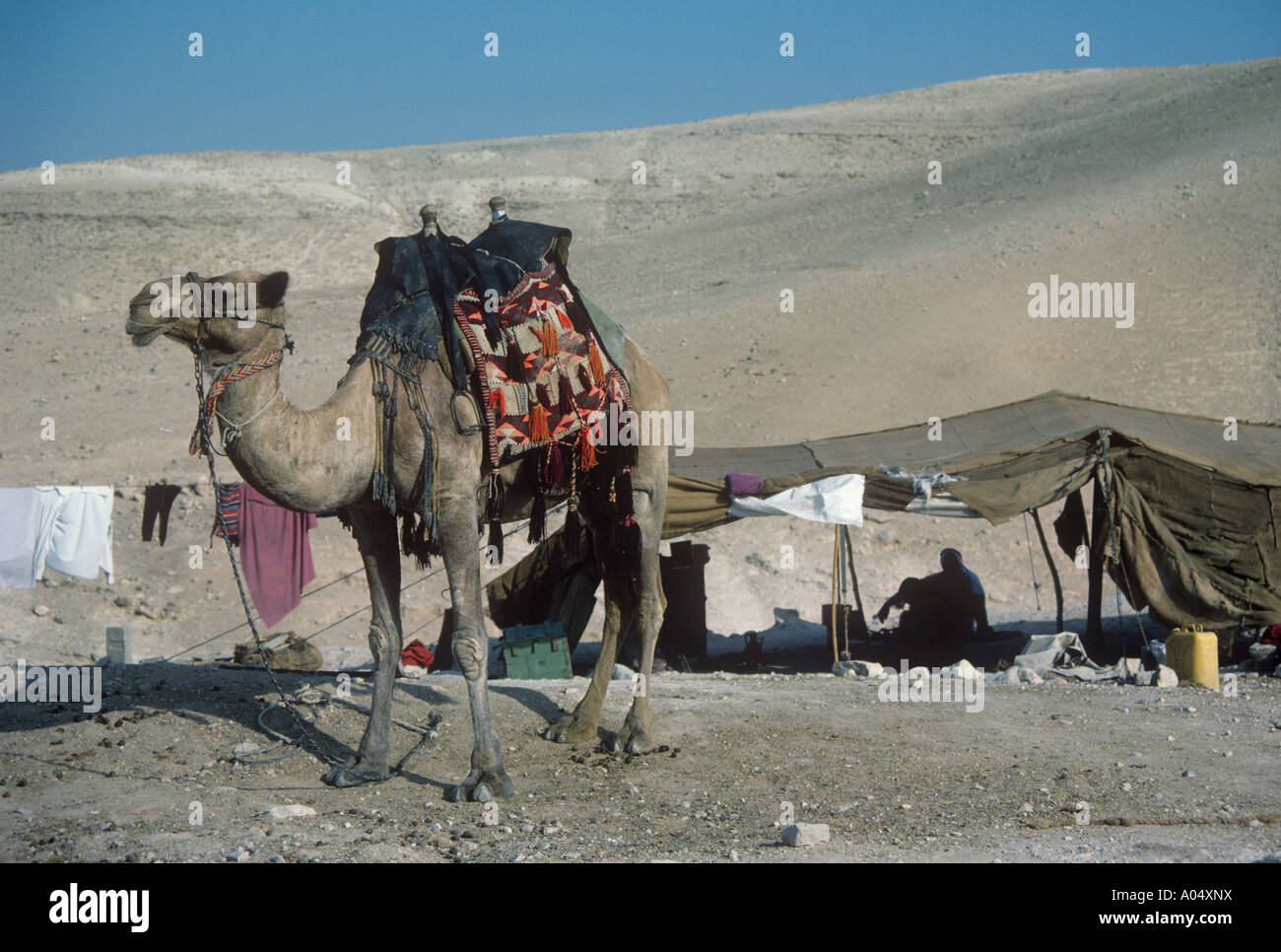 Bedouin tent israel -Fotos und -Bildmaterial in hoher Auflösung – Alamy