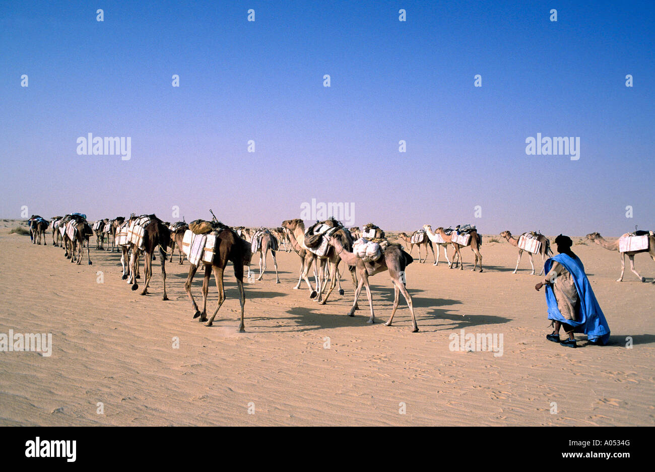 Salz Karawane Reisen durch große Sahara Mali Stockfotografie - Alamy