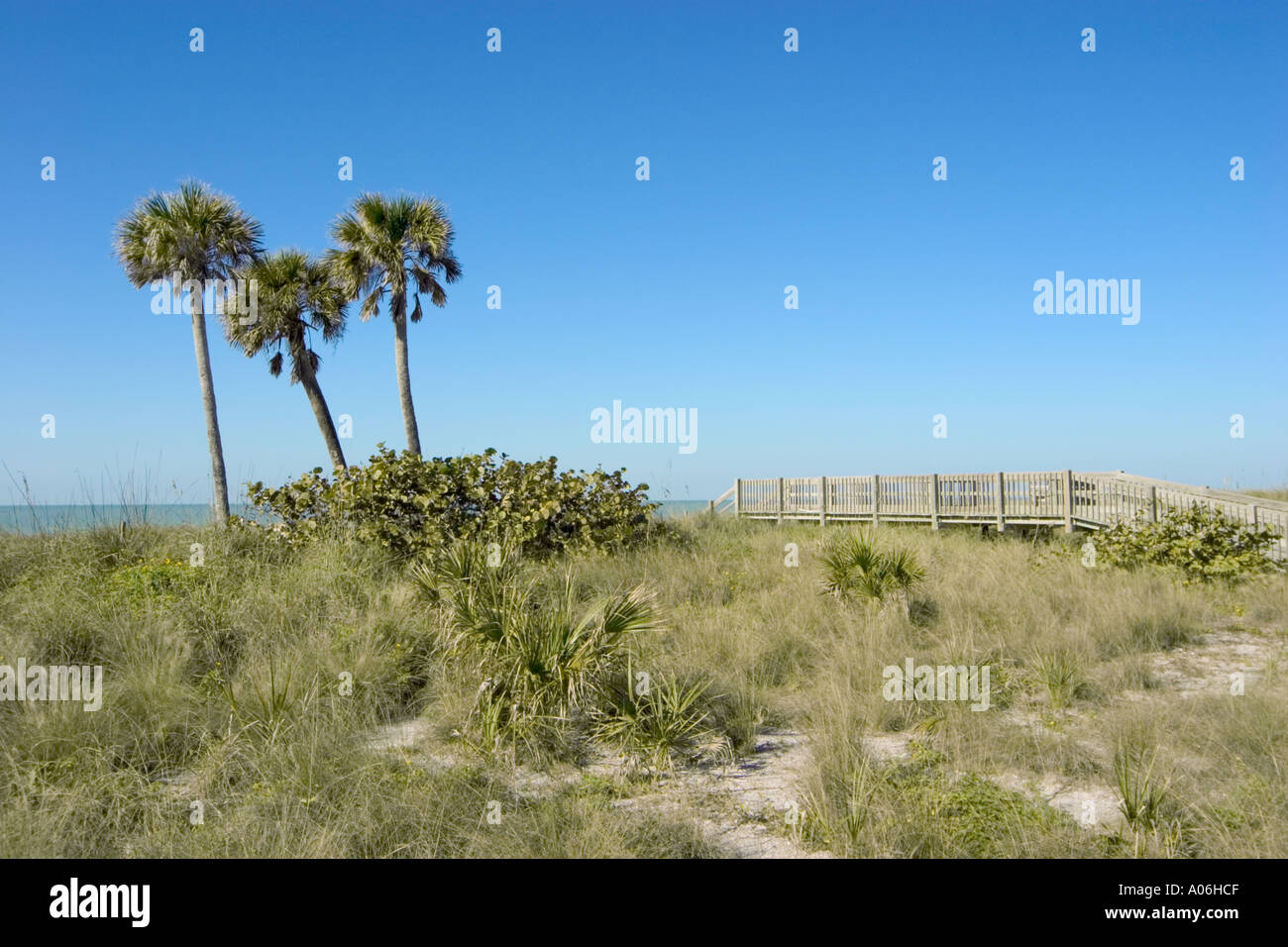 Blind Pass Beach Manasota Key in Florida Stockfotografie - Alamy