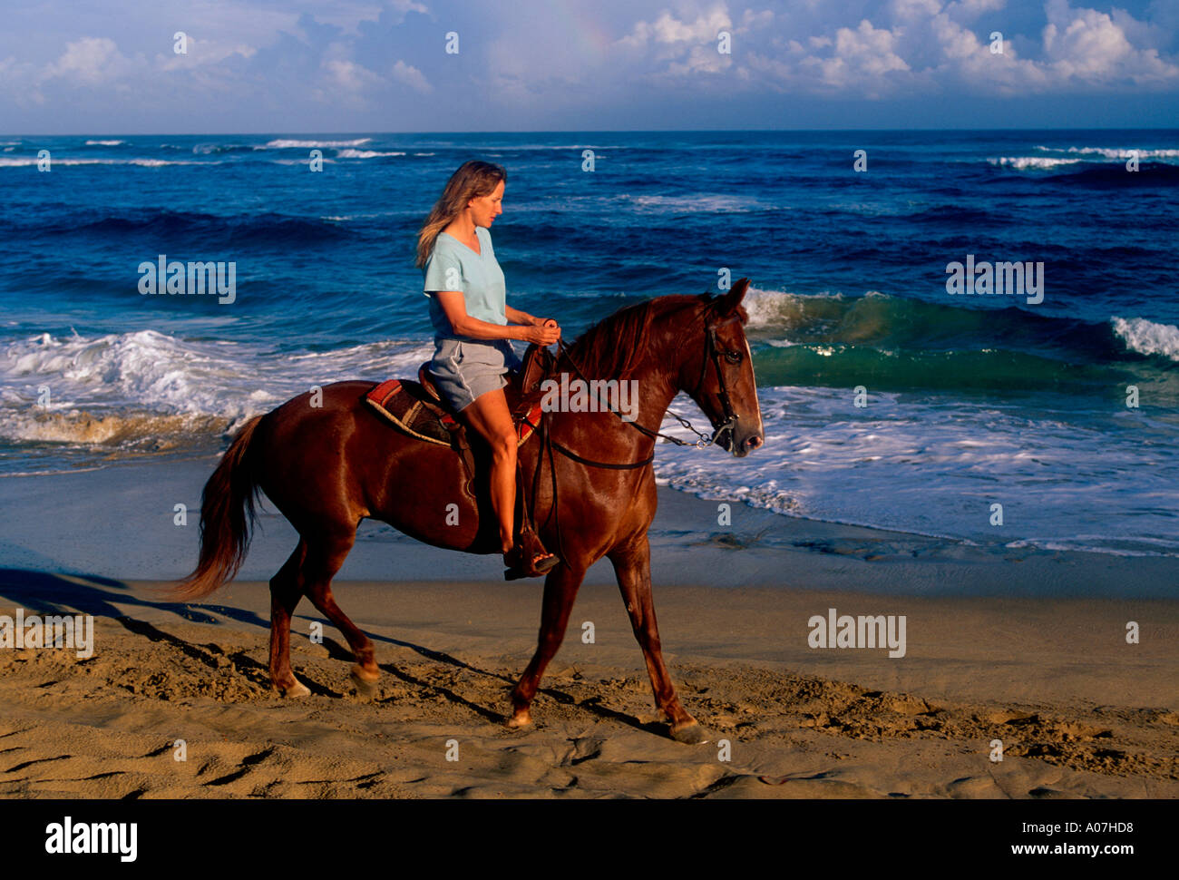 Reiterin auf pferd -Fotos und -Bildmaterial in hoher Auflösung – Alamy