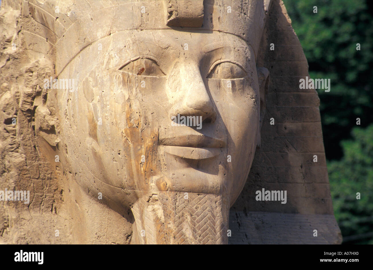 Statue von Pharao Ramses II. in Memphis, Ägypten Stockfotografie - Alamy