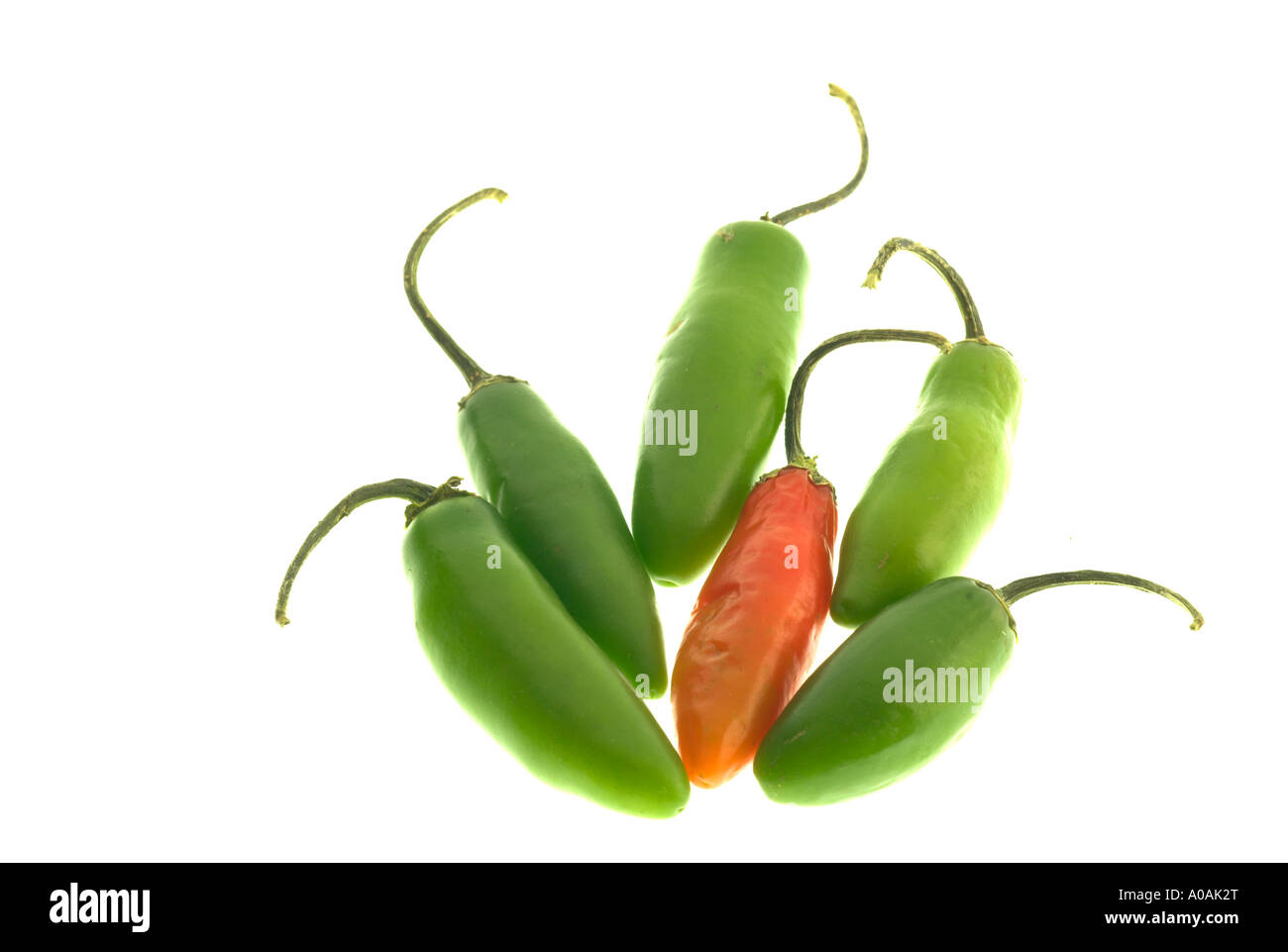 Unter den chilis -Fotos und -Bildmaterial in hoher Auflösung – Alamy