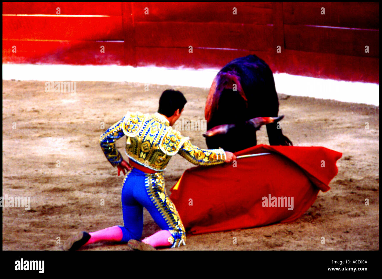 Stierkampf am "Plaza De Toros" Puerto Vallarta Mexiko Stockfotografie ...