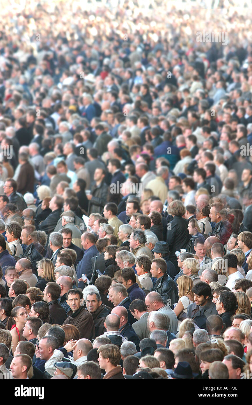 Pferde und menschenmassen -Fotos und -Bildmaterial in hoher Auflösung ...