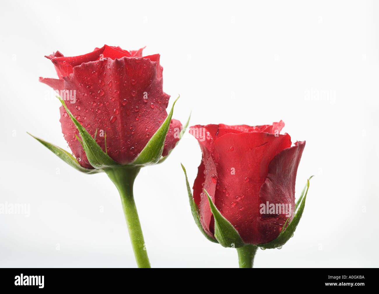 Zwei paar glatt -Fotos und -Bildmaterial in hoher Auflösung – Alamy