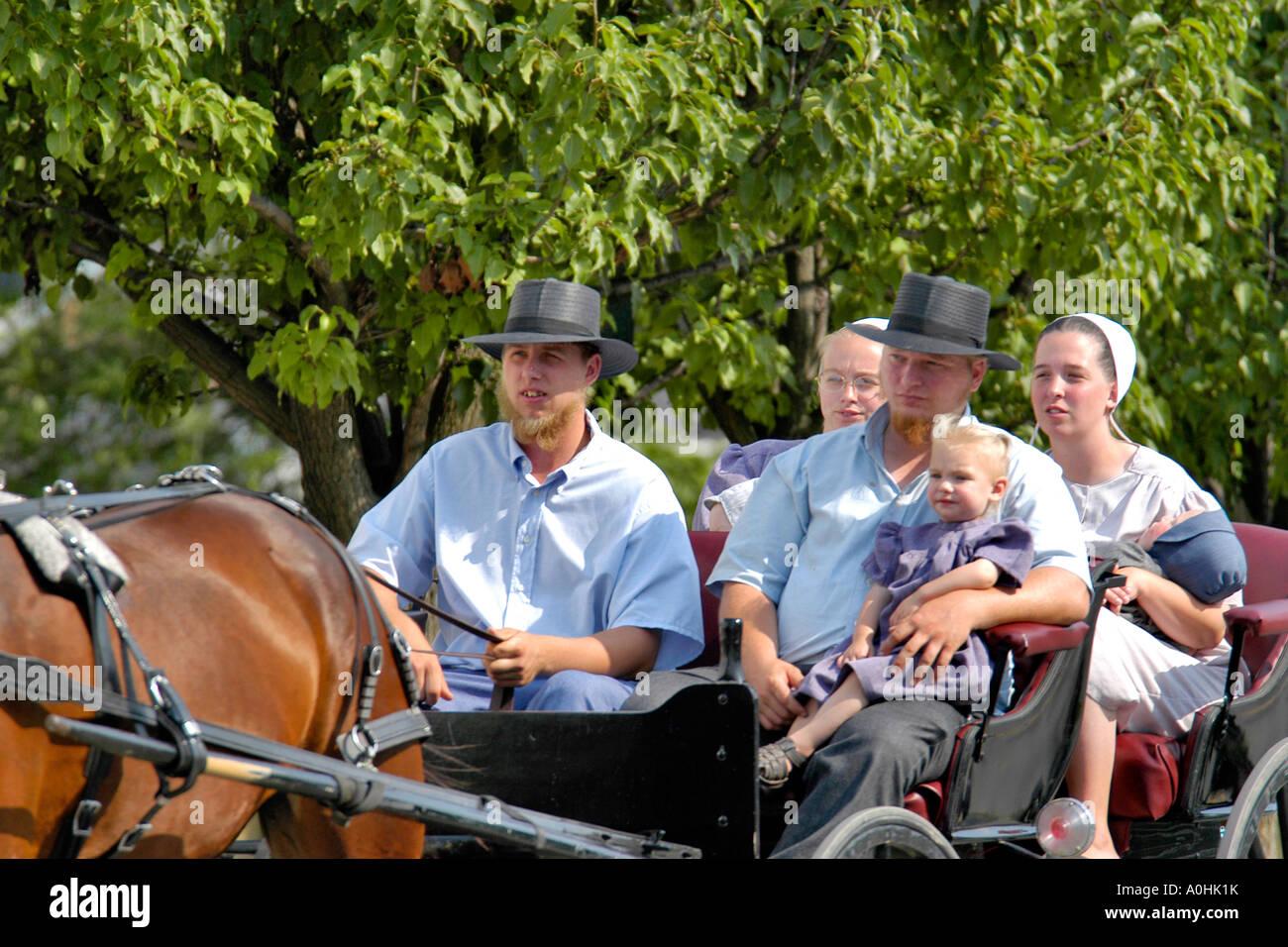 Amische Familie Reiten in einen offenen Pferd gezeichneten Buggy in ...