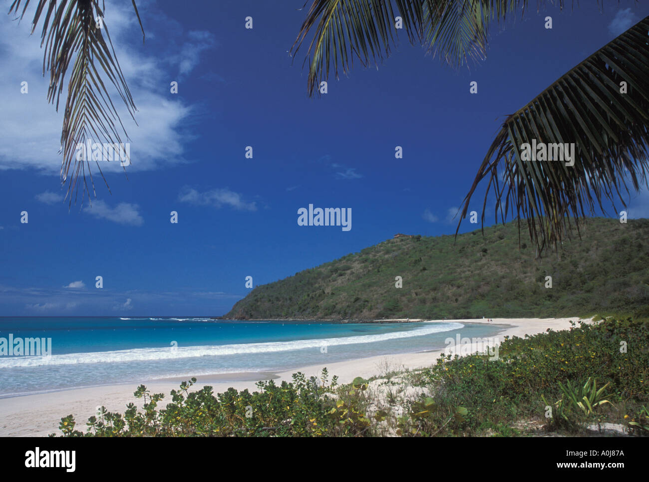 Bahia des tortugas culebra insel -Fotos und -Bildmaterial in hoher ...