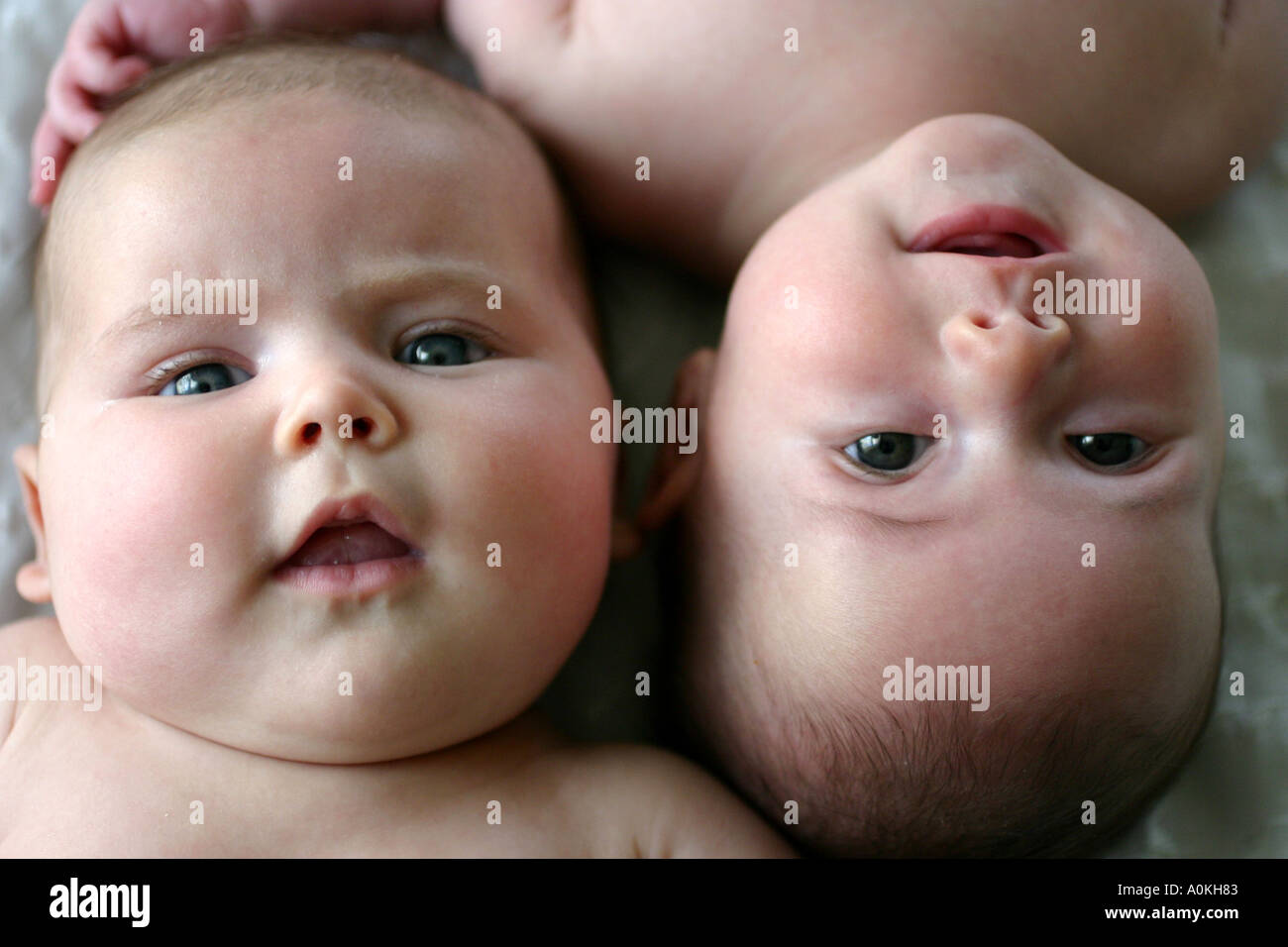 Zwillinge babies -Fotos und -Bildmaterial in hoher Auflösung – Alamy
