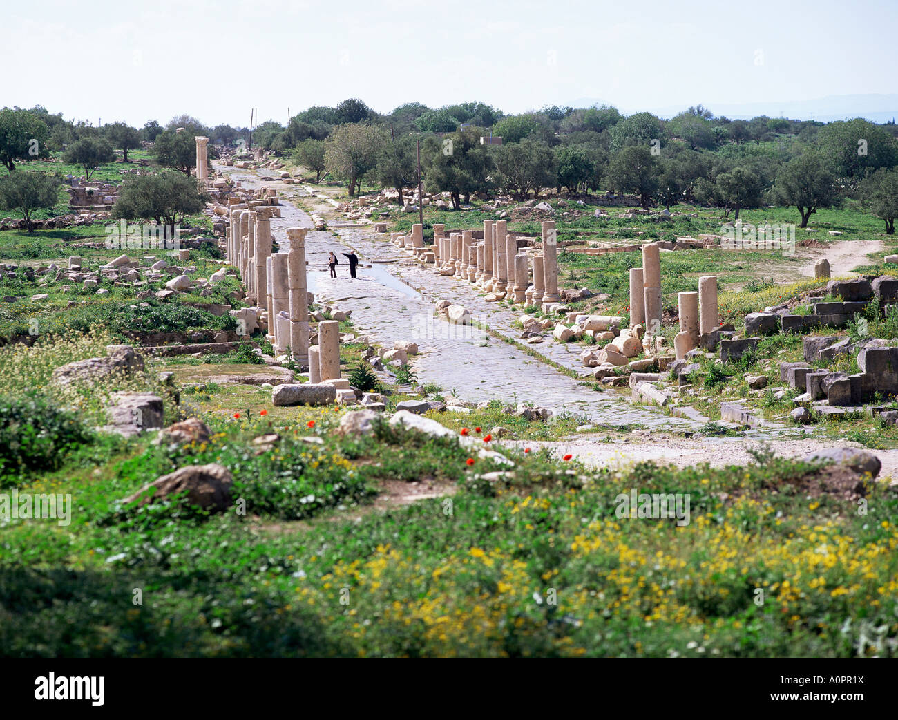 Dekapolis stadt gadara -Fotos und -Bildmaterial in hoher Auflösung – Alamy