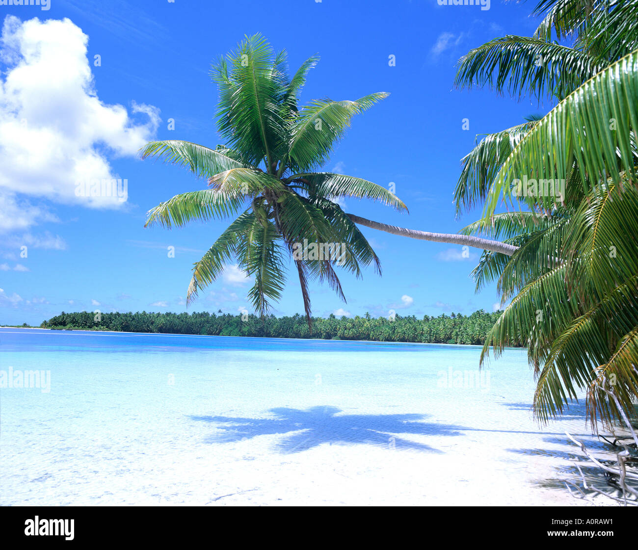 Der strand -Fotos und -Bildmaterial in hoher Auflösung – Alamy