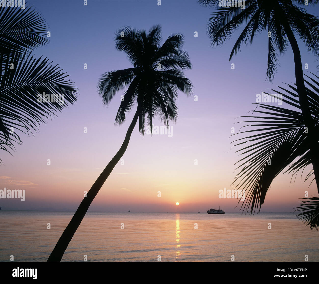 Tong yang strand -Fotos und -Bildmaterial in hoher Auflösung – Alamy