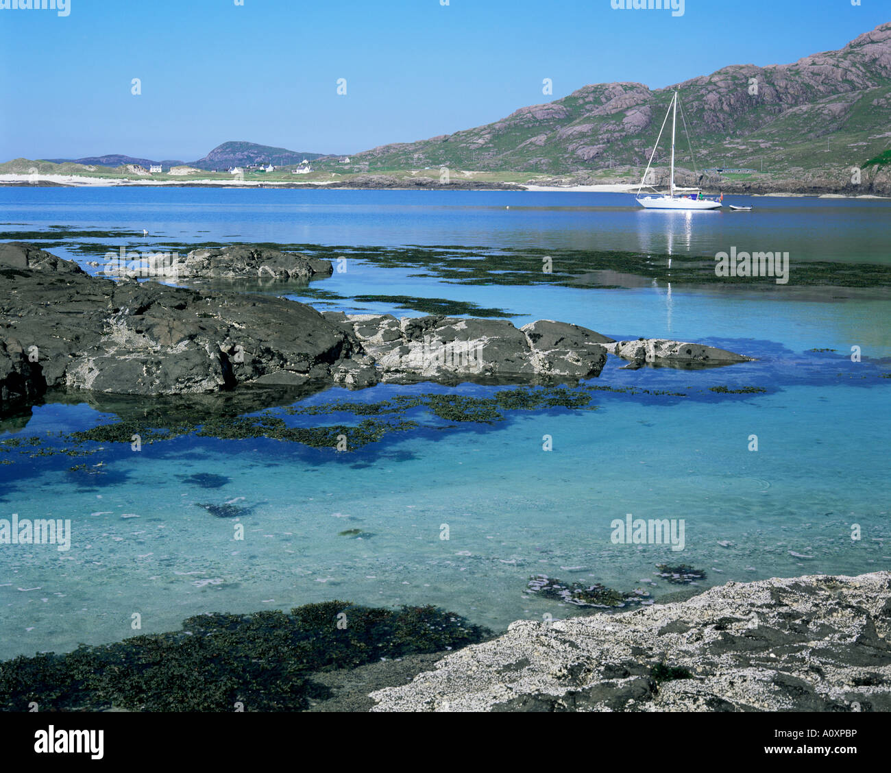 Sanna englund -Fotos und -Bildmaterial in hoher Auflösung – Alamy