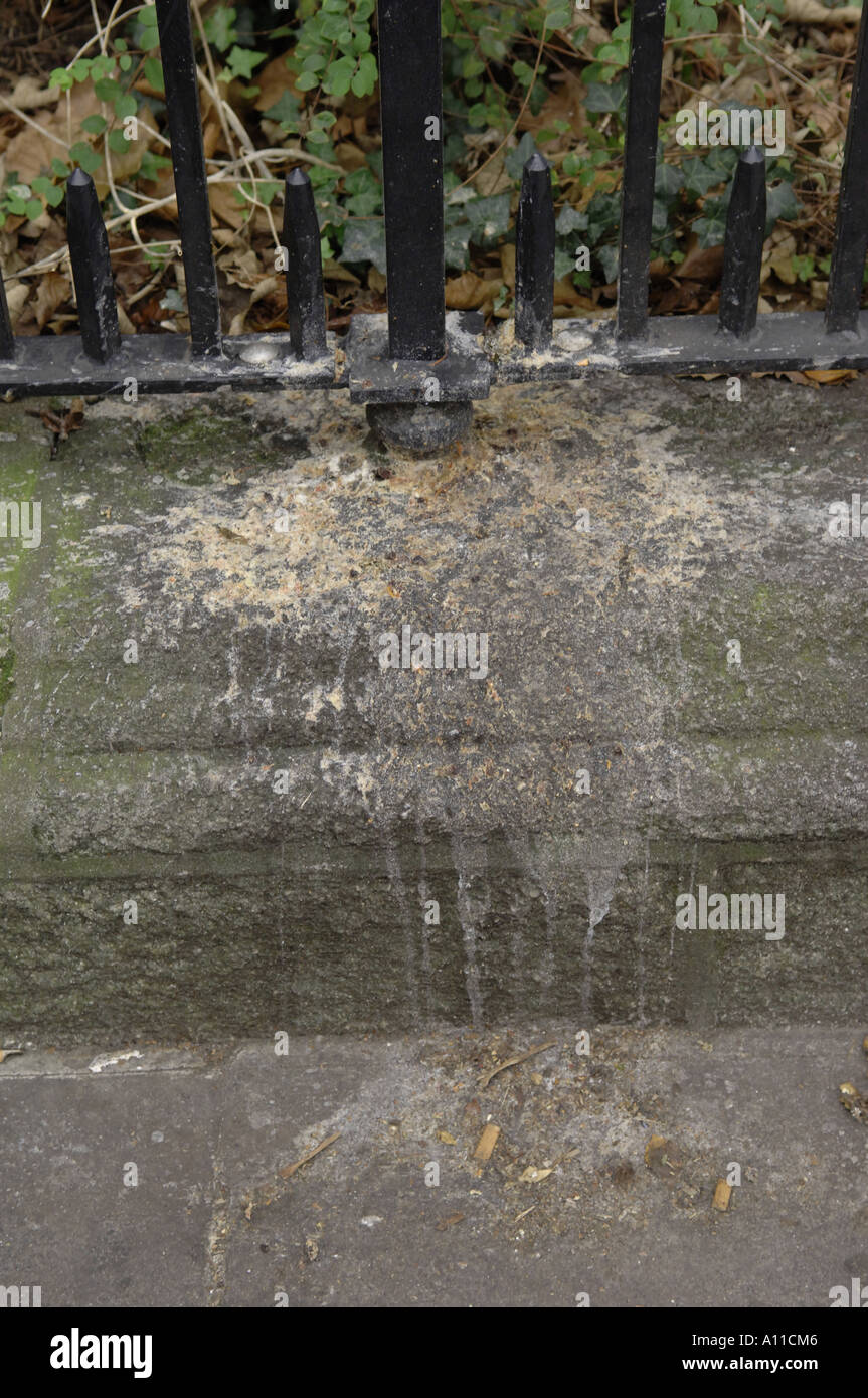 Vomit street -Fotos und -Bildmaterial in hoher Auflösung – Alamy