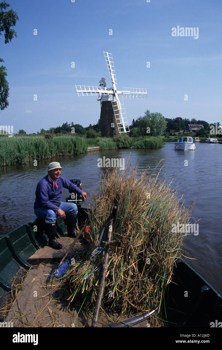 Reed cutter for the norfolk broads -Fotos und -Bildmaterial in hoher ...
