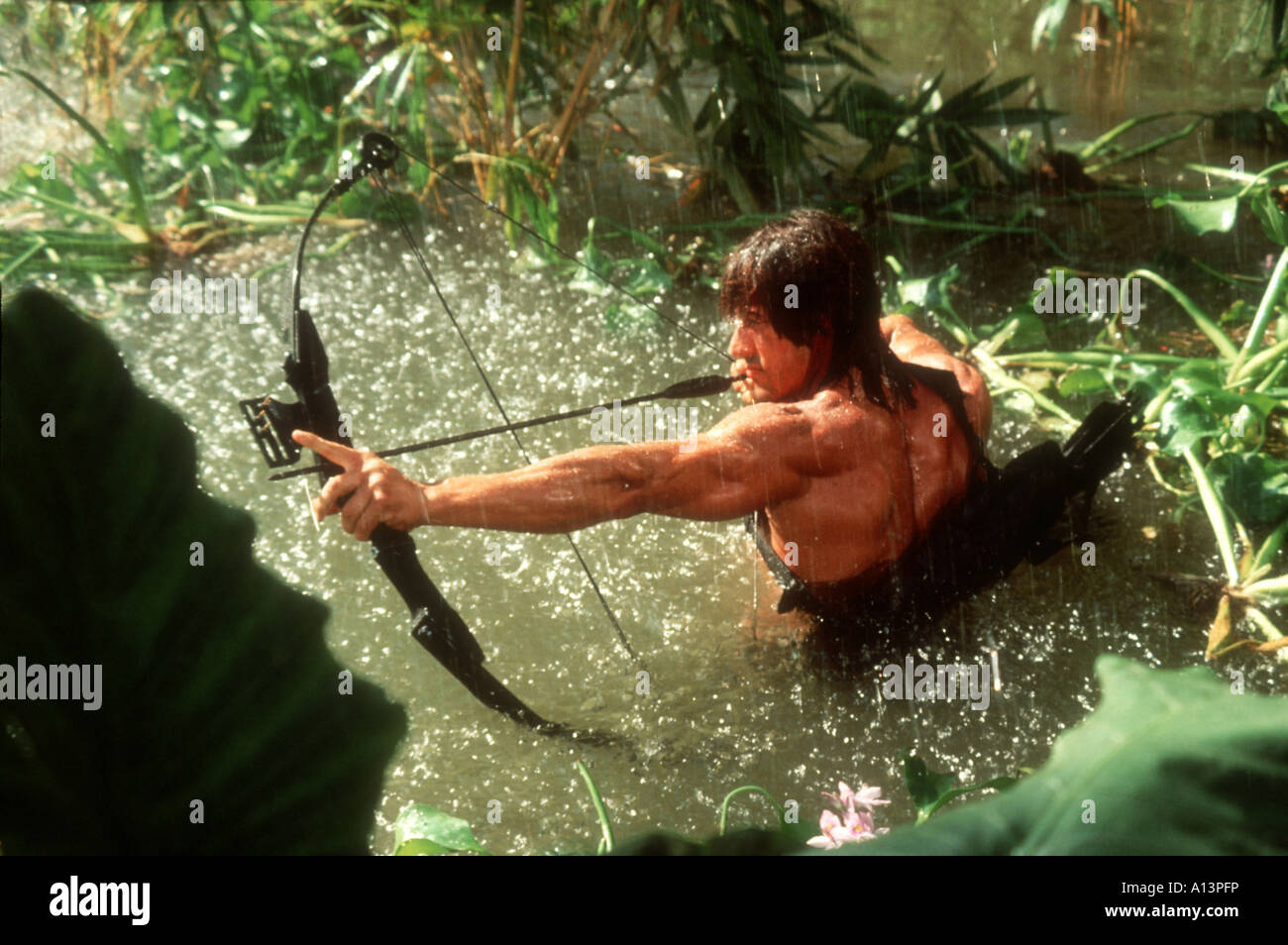 Rambo first blood ii year -Fotos und -Bildmaterial in hoher Auflösung ...