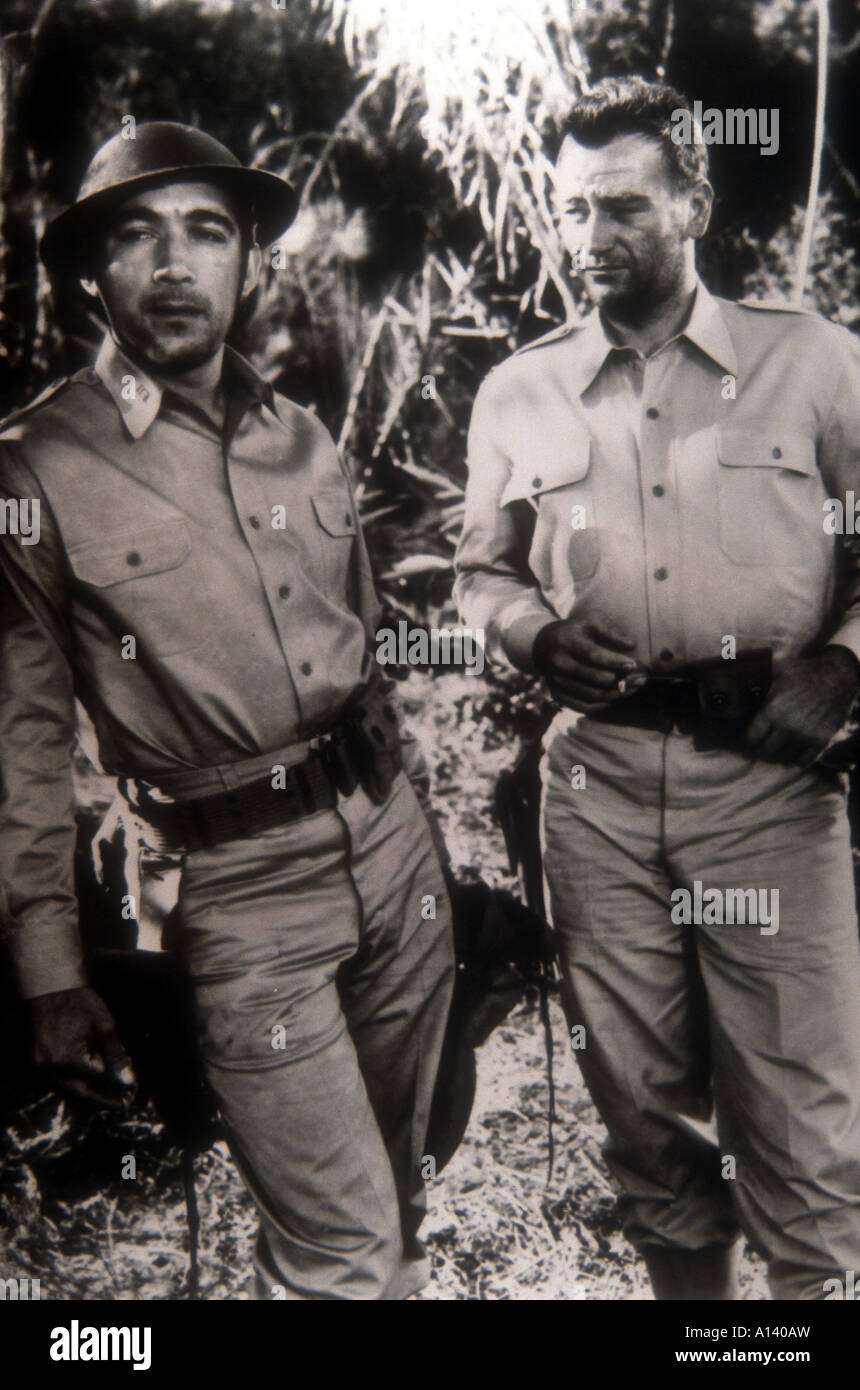 Wayne Quinn Stockfotos und -bilder Kaufen - Alamy
