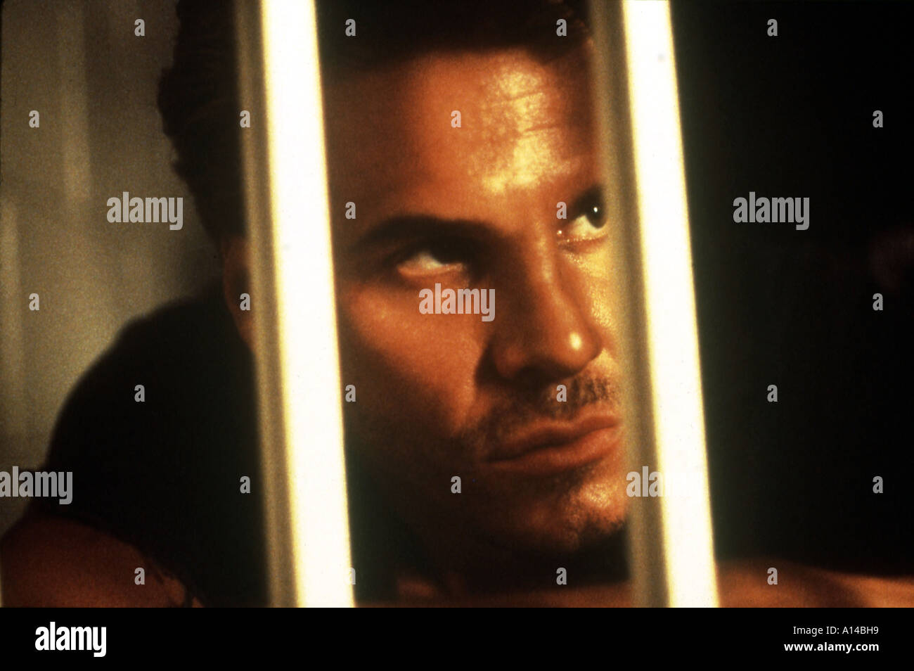 Das grab -Fotos und -Bildmaterial in hoher Auflösung – Alamy