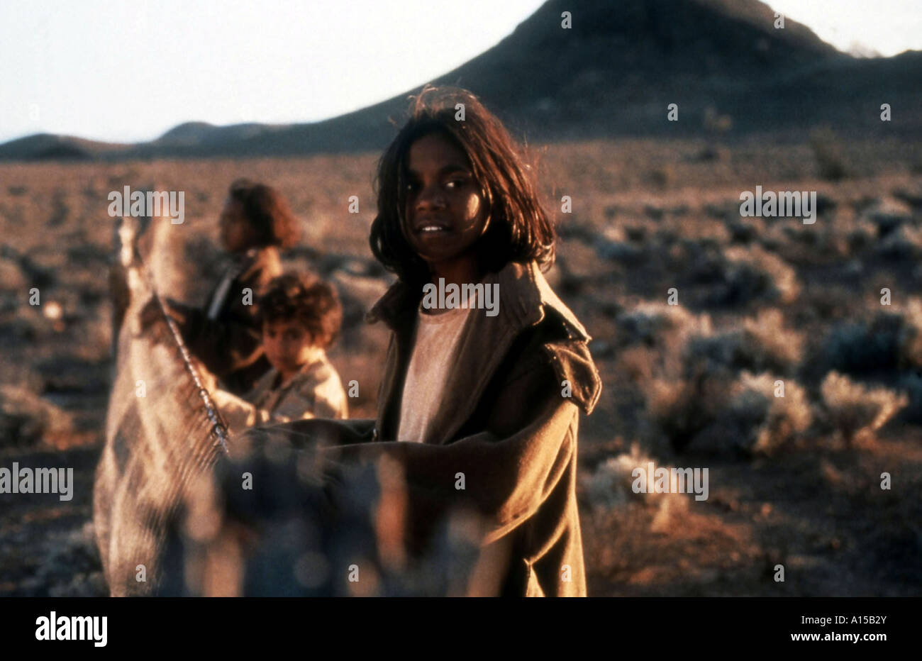 Rabbit Proof Fence Stockfotos und -bilder Kaufen - Alamy