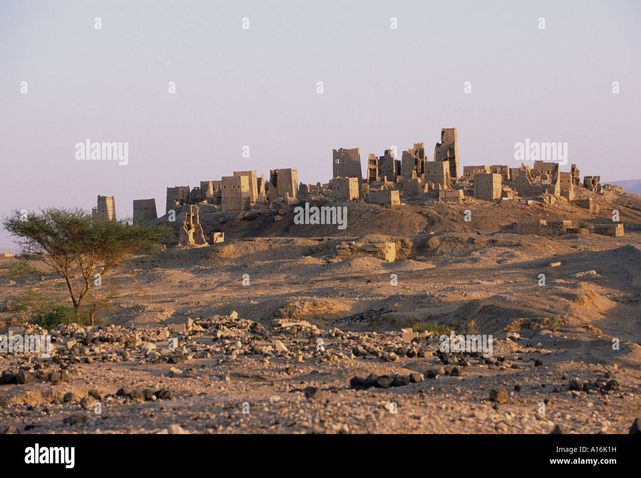 Marib yemen -Fotos und -Bildmaterial in hoher Auflösung – Alamy