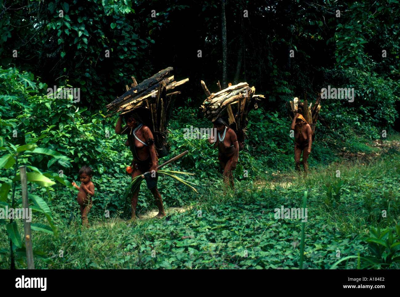 Yanomami Indians Stockfotos & Yanomami Indians Bilder - Alamy