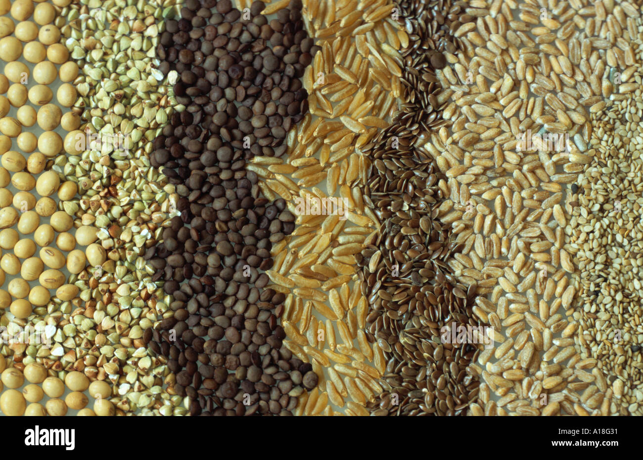 R brotsorten -Fotos und -Bildmaterial in hoher Auflösung – Alamy