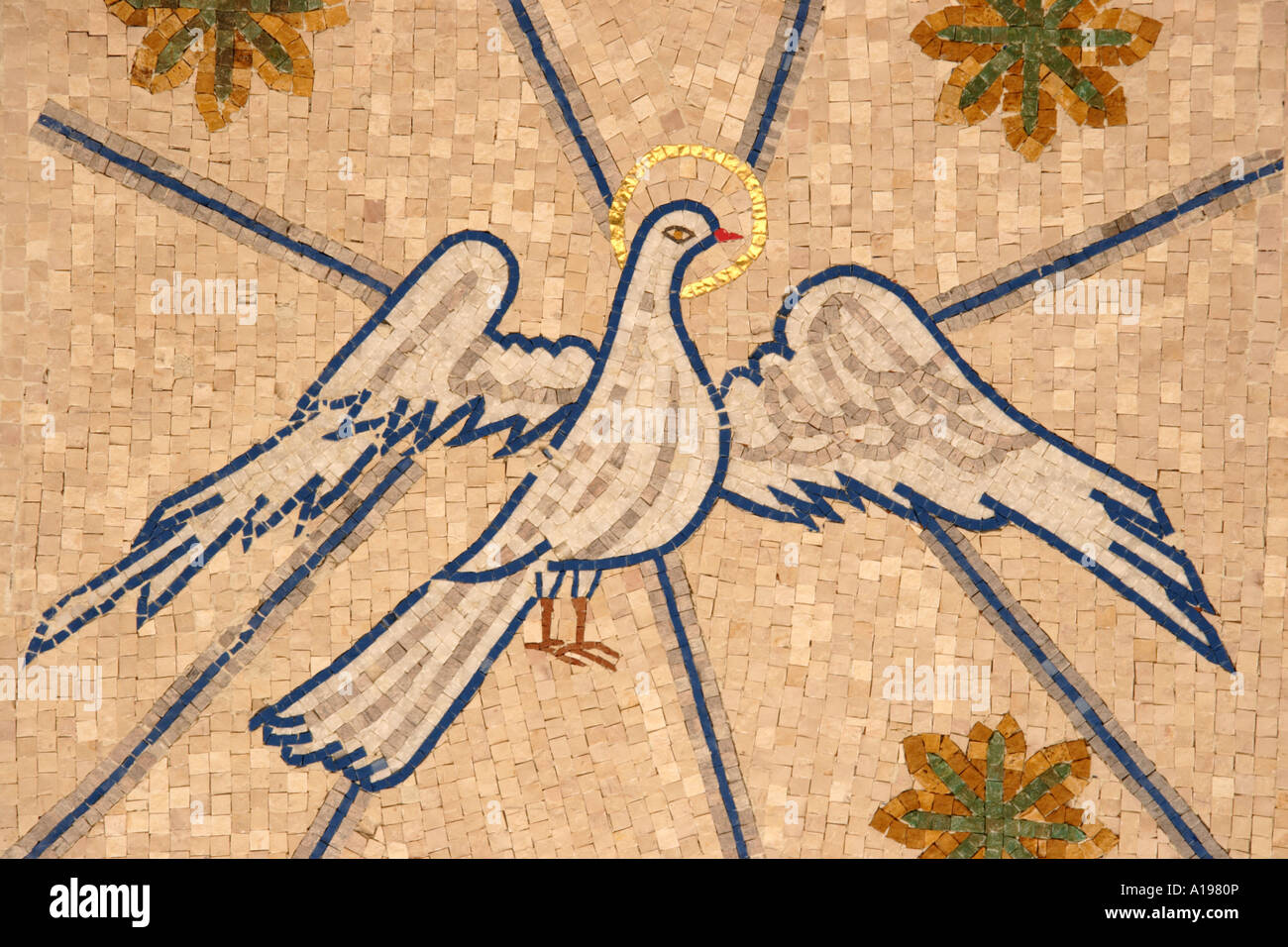 Noah dove -Fotos und -Bildmaterial in hoher Auflösung – Alamy