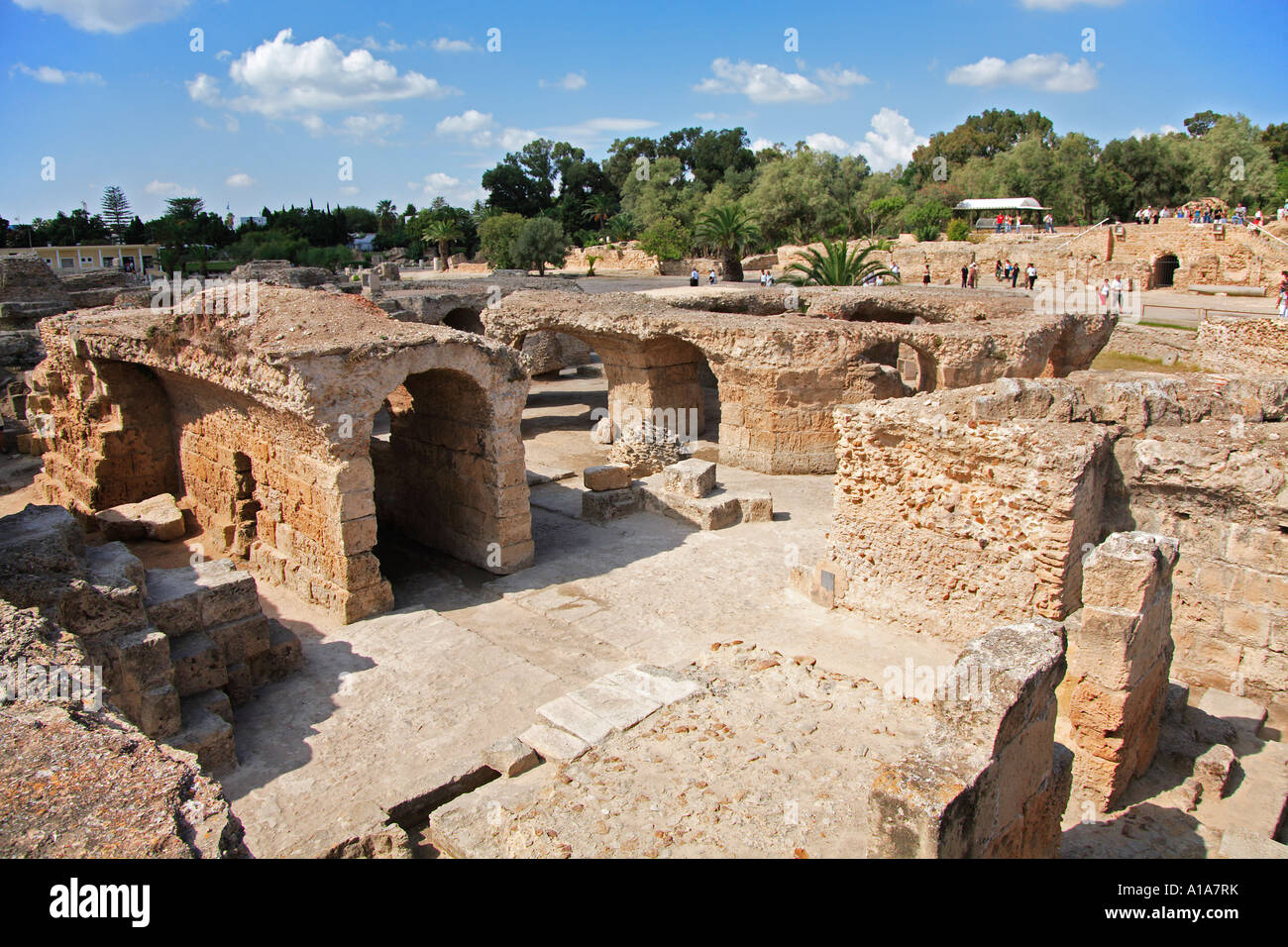 Karthago bildung -Fotos und -Bildmaterial in hoher Auflösung – Alamy