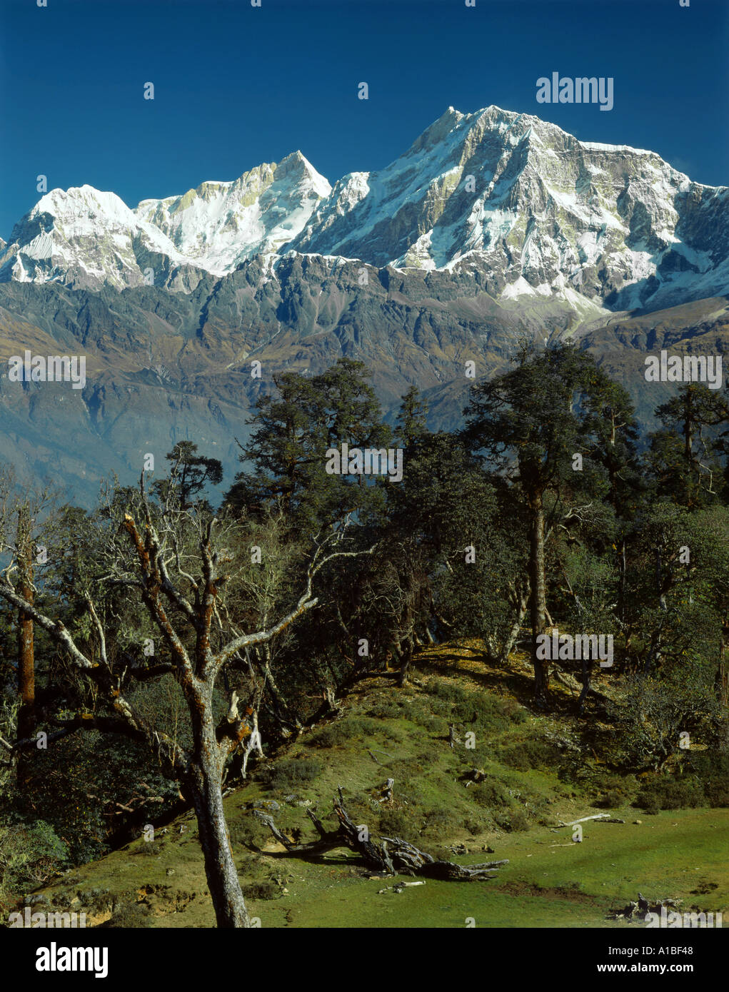 Manaslu himal -Fotos und -Bildmaterial in hoher Auflösung – Alamy