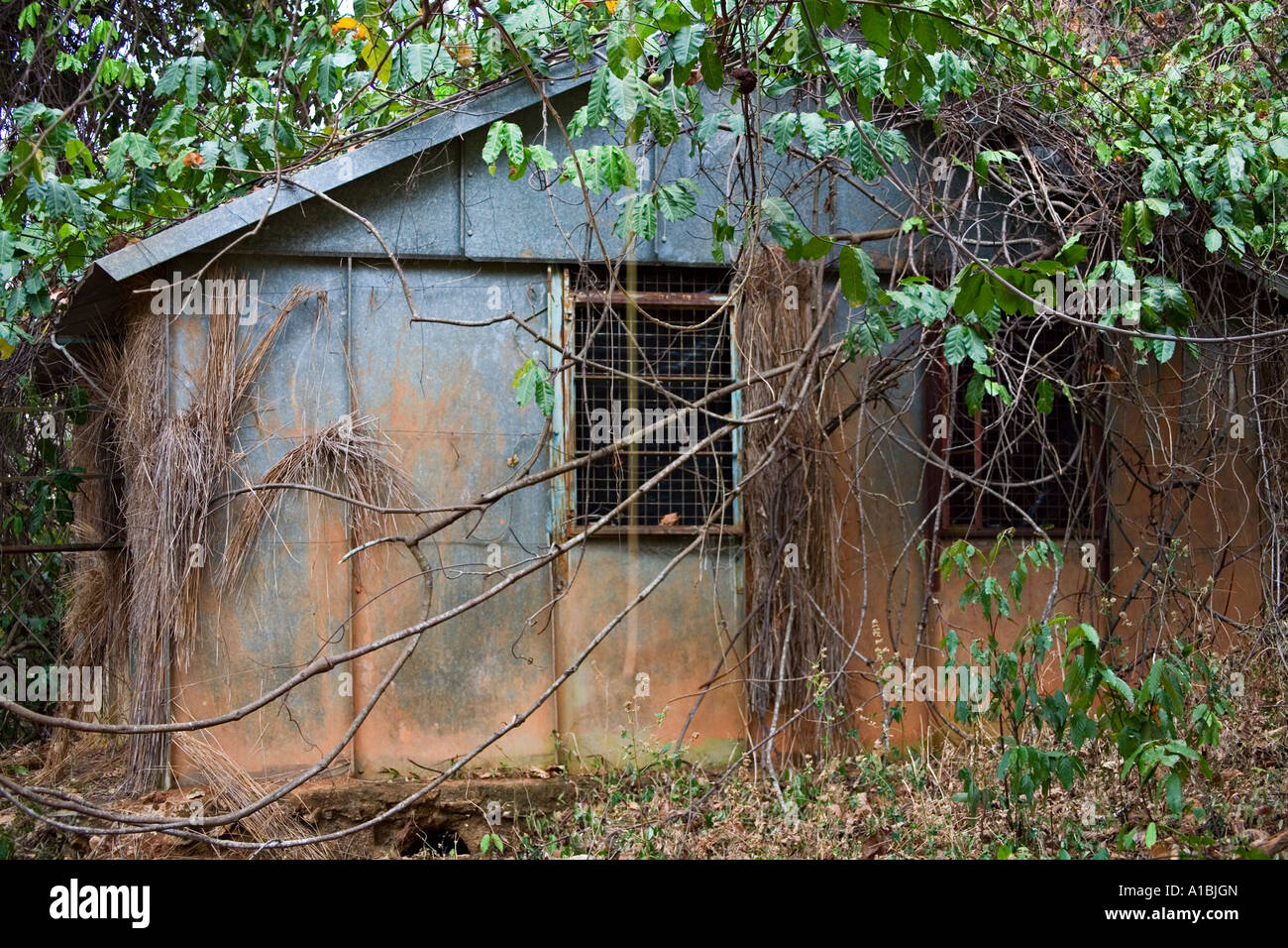 Gombe national park jane goodall -Fotos und -Bildmaterial in hoher ...