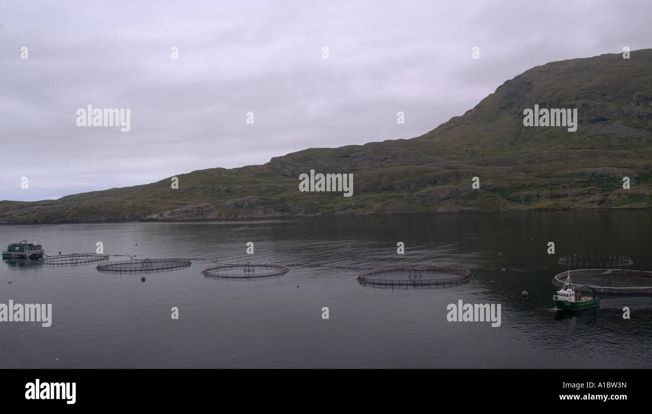Aquaculture cage fish farming net atlantic ocean killary ireland -Fotos ...
