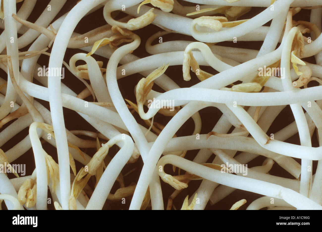 Goldenes gramm -Fotos und -Bildmaterial in hoher Auflösung – Alamy