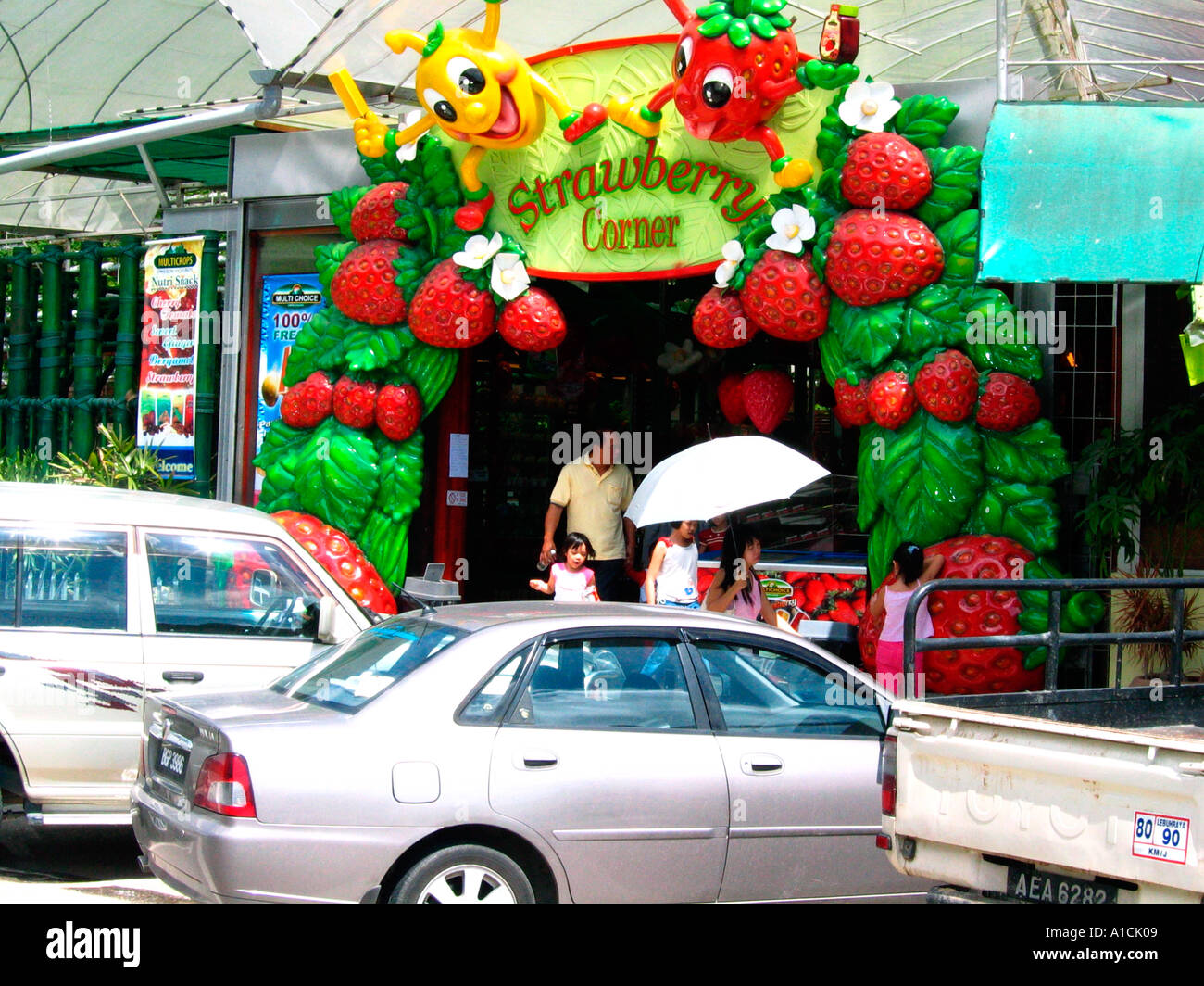 Geschenk zu produzieren und Obst Theme-Store Erdbeere Ecke Cameron ...