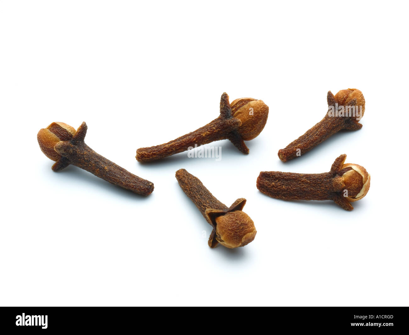 Syzgium aromaticum -Fotos und -Bildmaterial in hoher Auflösung – Alamy