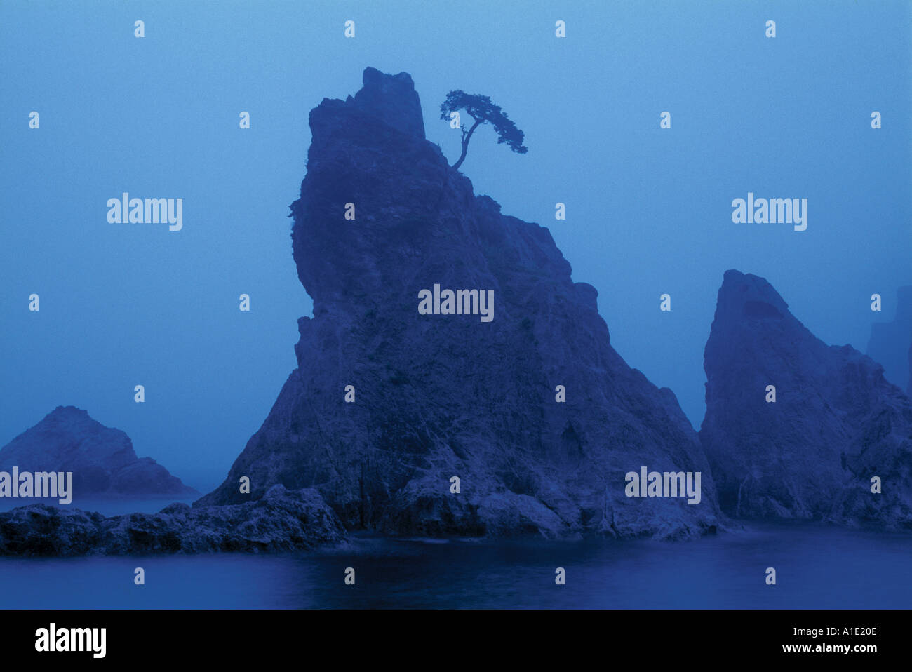 Iwate ken -Fotos und -Bildmaterial in hoher Auflösung – Alamy