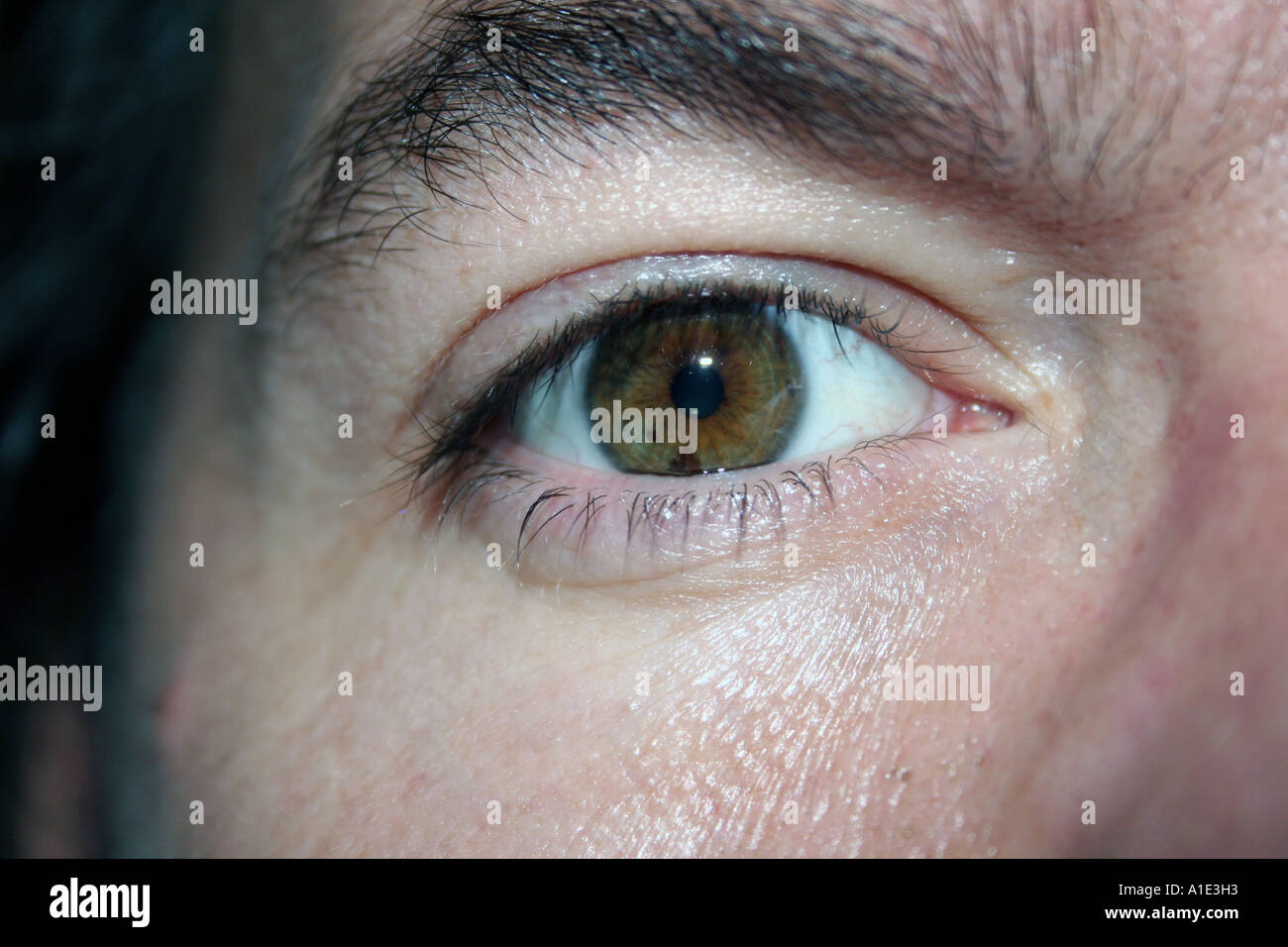 Brown eye -Fotos und -Bildmaterial in hoher Auflösung – Alamy