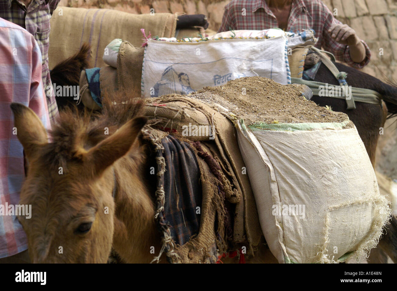 Donkeys Carrying Load Stockfotos und -bilder Kaufen - Alamy