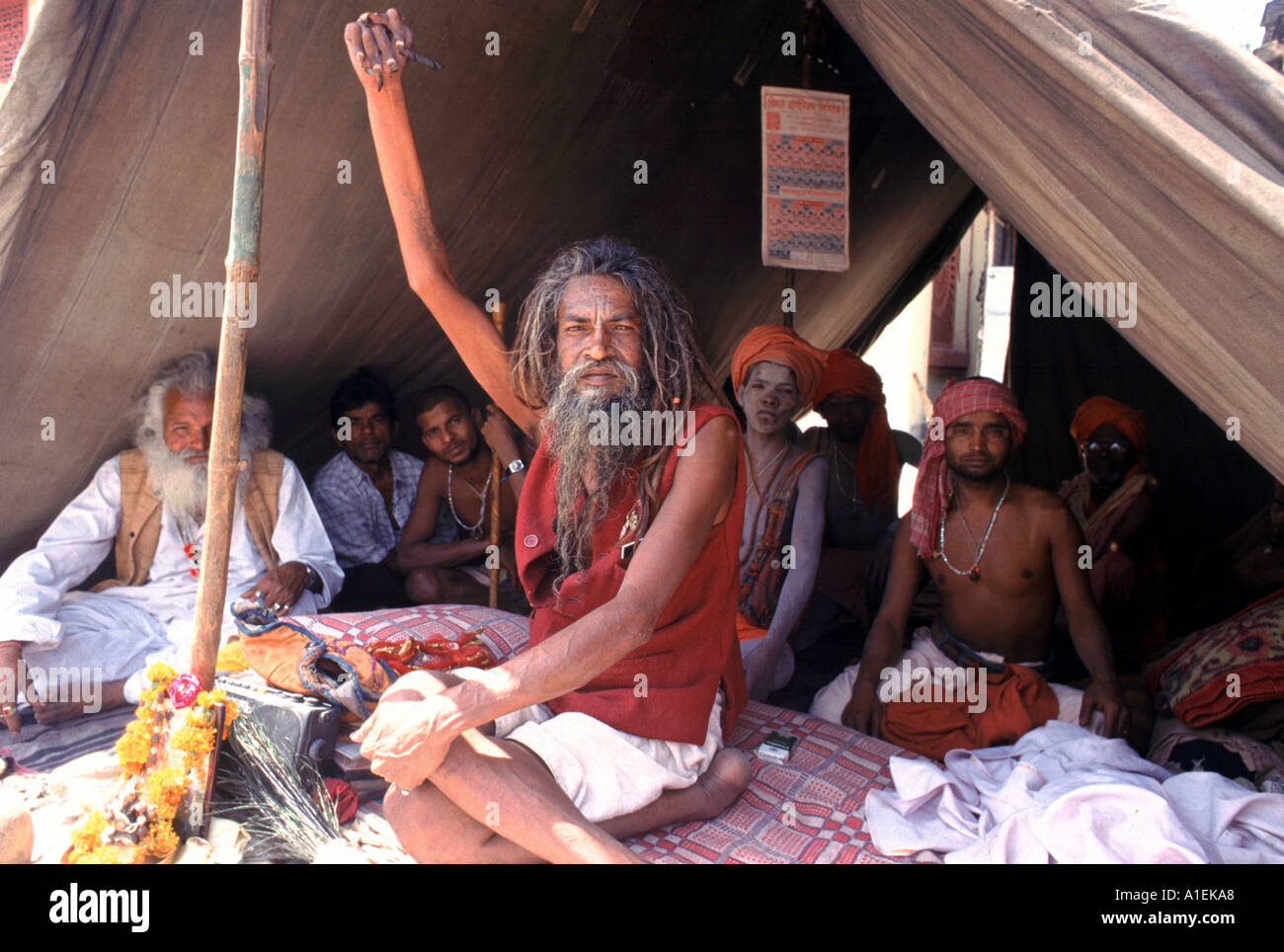 Atrophierter arm -Fotos und -Bildmaterial in hoher Auflösung – Alamy