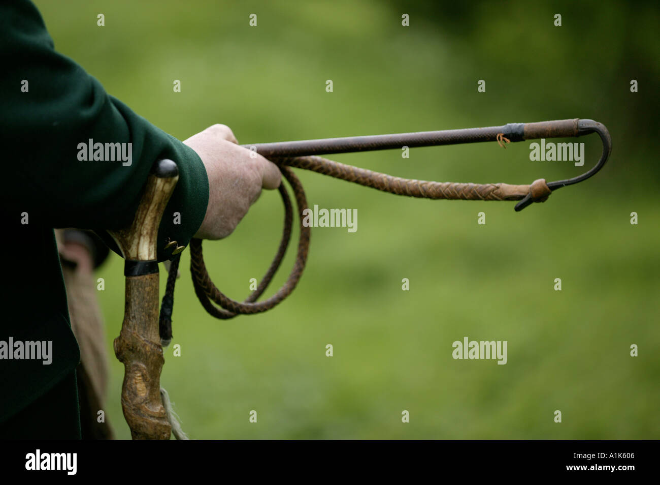 Die meisterjagd -Fotos und -Bildmaterial in hoher Auflösung – Alamy