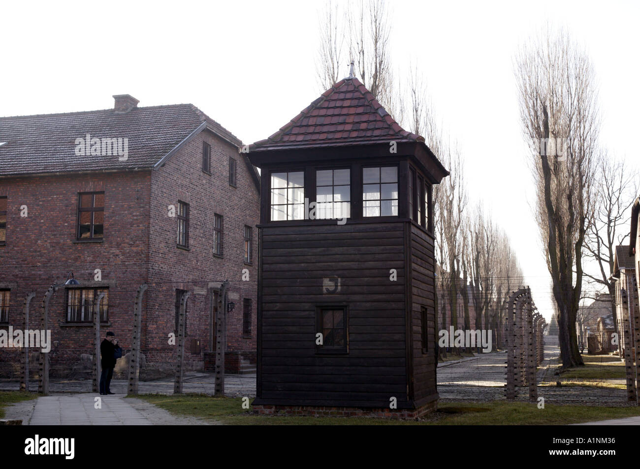 Kinder von auschwitz -Fotos und -Bildmaterial in hoher Auflösung ...