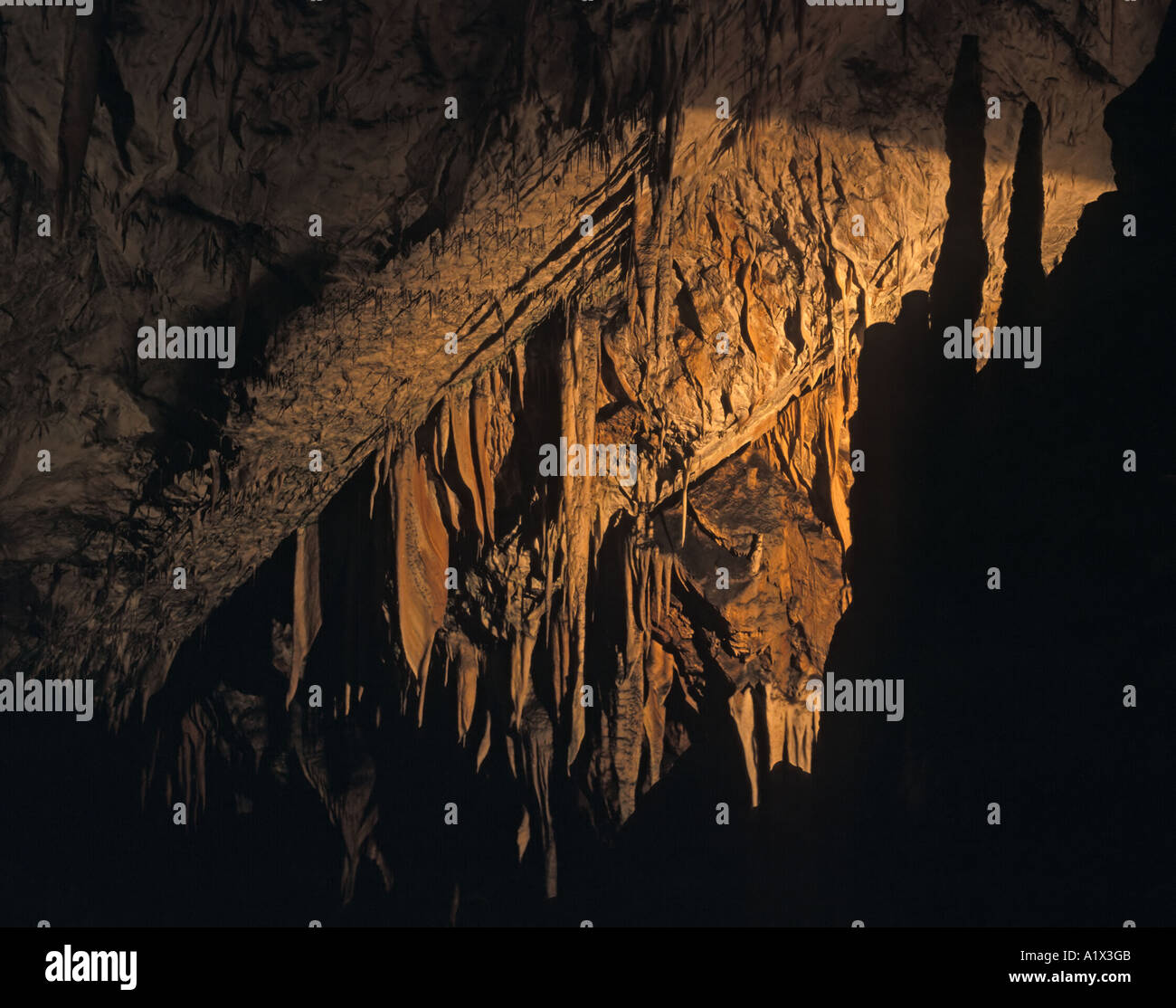 Postojnska Jama Stockfotos & Postojnska Jama Bilder - Alamy